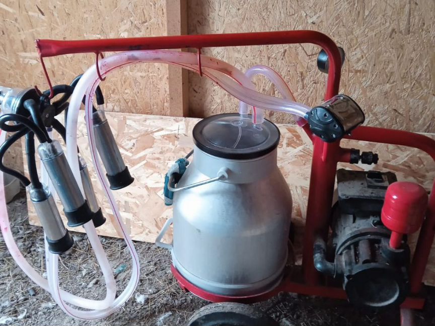 Доильный аппарат для коров, антибрык