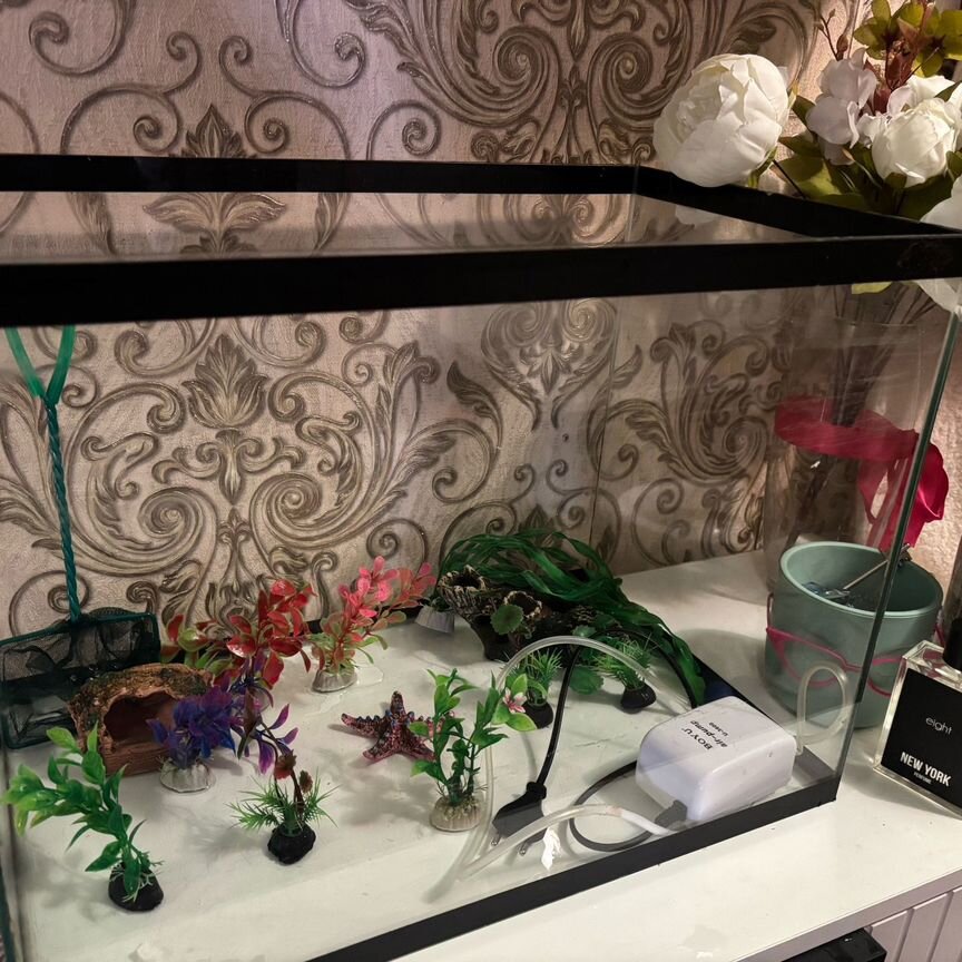 Аквариум на 50 литров