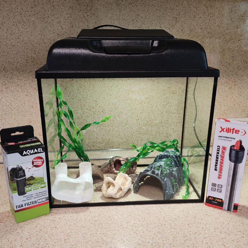 Аквариум бу месяц