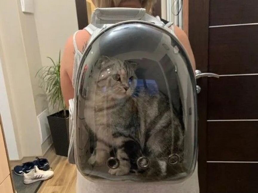 Рюкзак переноска для кошек и собак