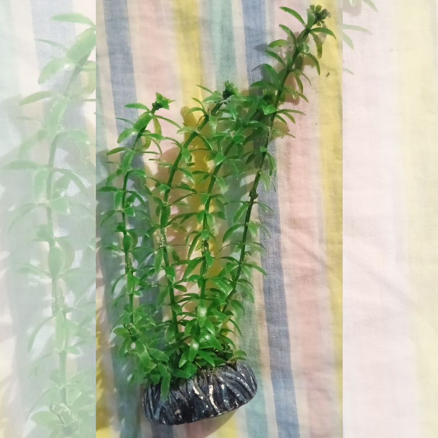 Аксессуары для аквариума