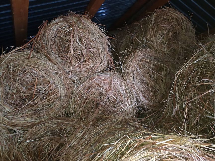 Сено в тюках