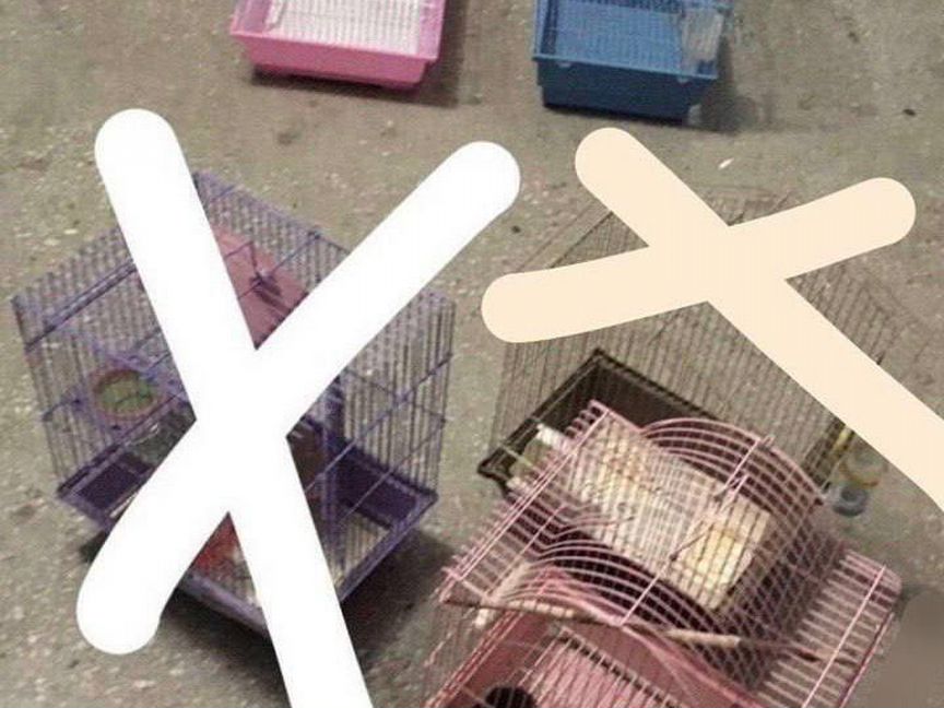 Клетки разные, б/у - в отличном состоянии