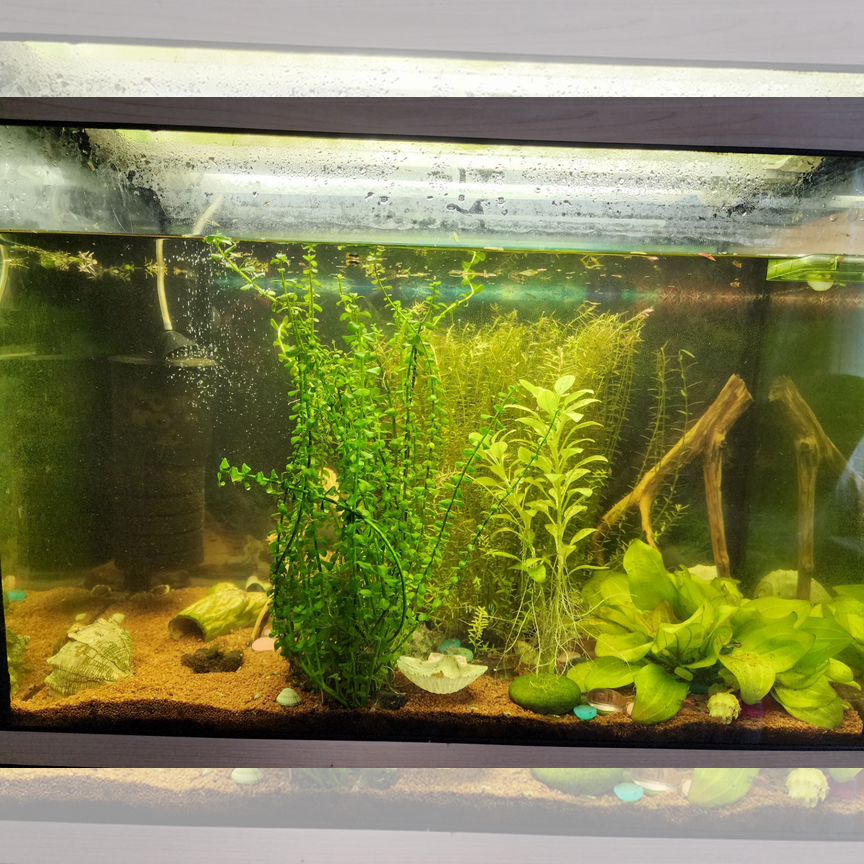 Аквариум 120 литров с тумбой и аксессуарами