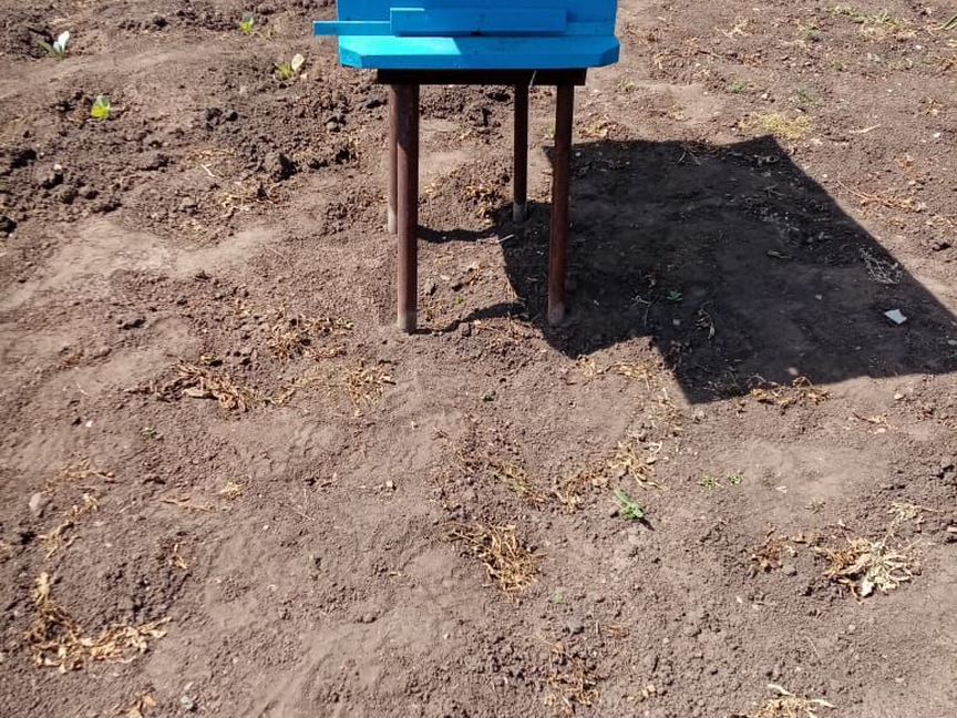 Ульи для пчел