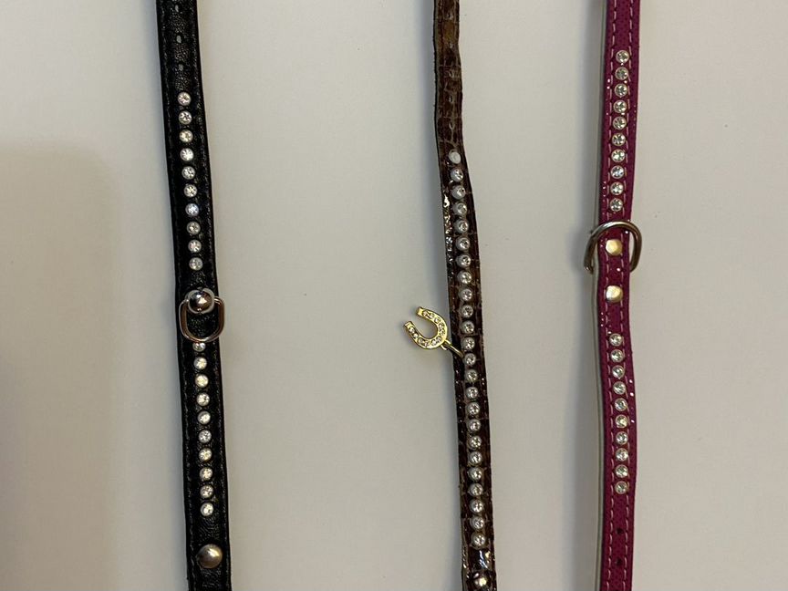 Аксессуары для собак