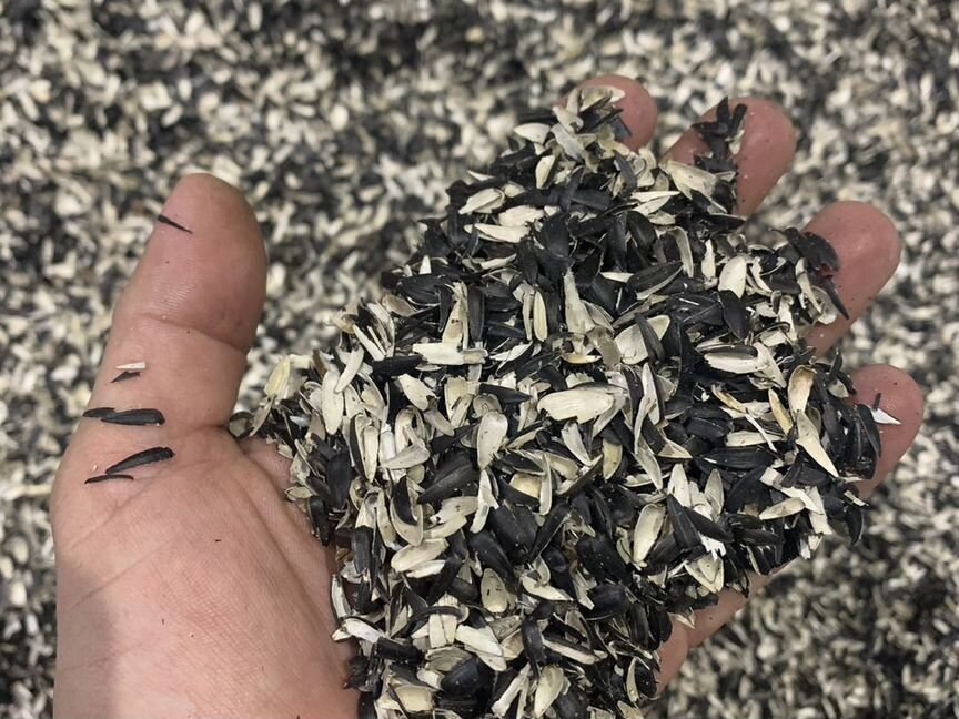 Лузга подсолнечника