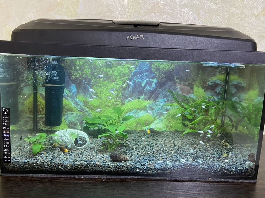 Аквариум aquael 55 литров