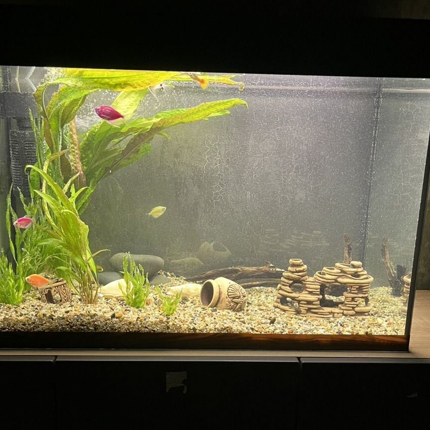 Аквариум с наполнением 126 литров