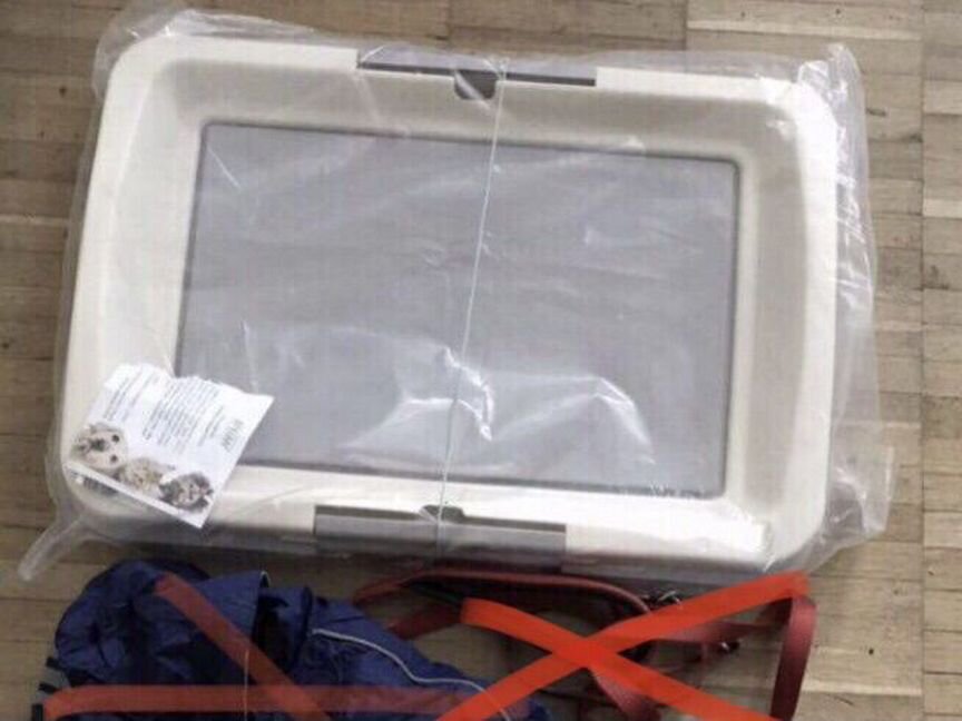 Вещи для собак