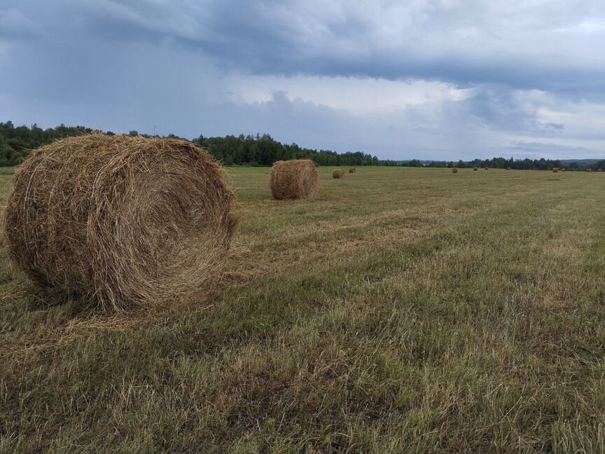 Сено тимофеевка+клевер
