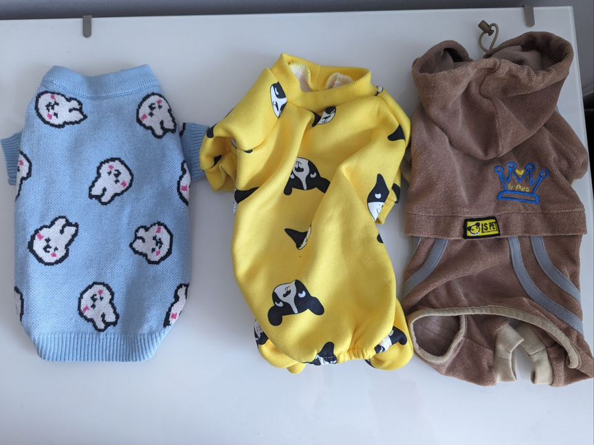 Три собачих костюма