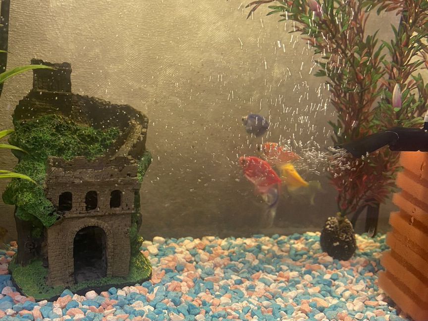 Продам аквариум