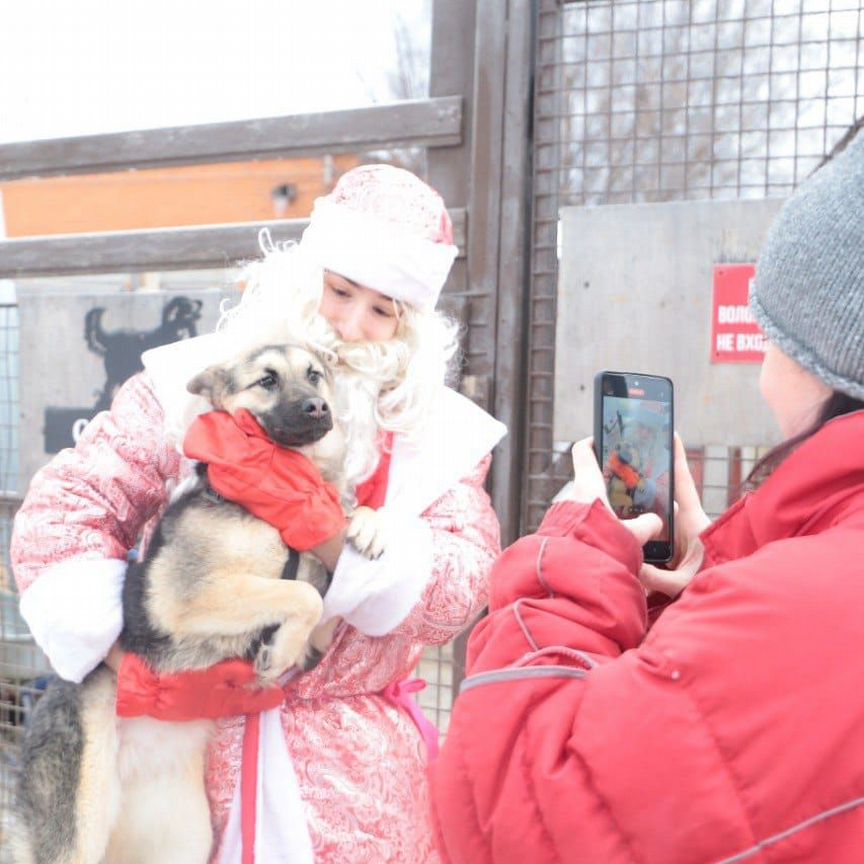 Чуда для Герды так и не произошло