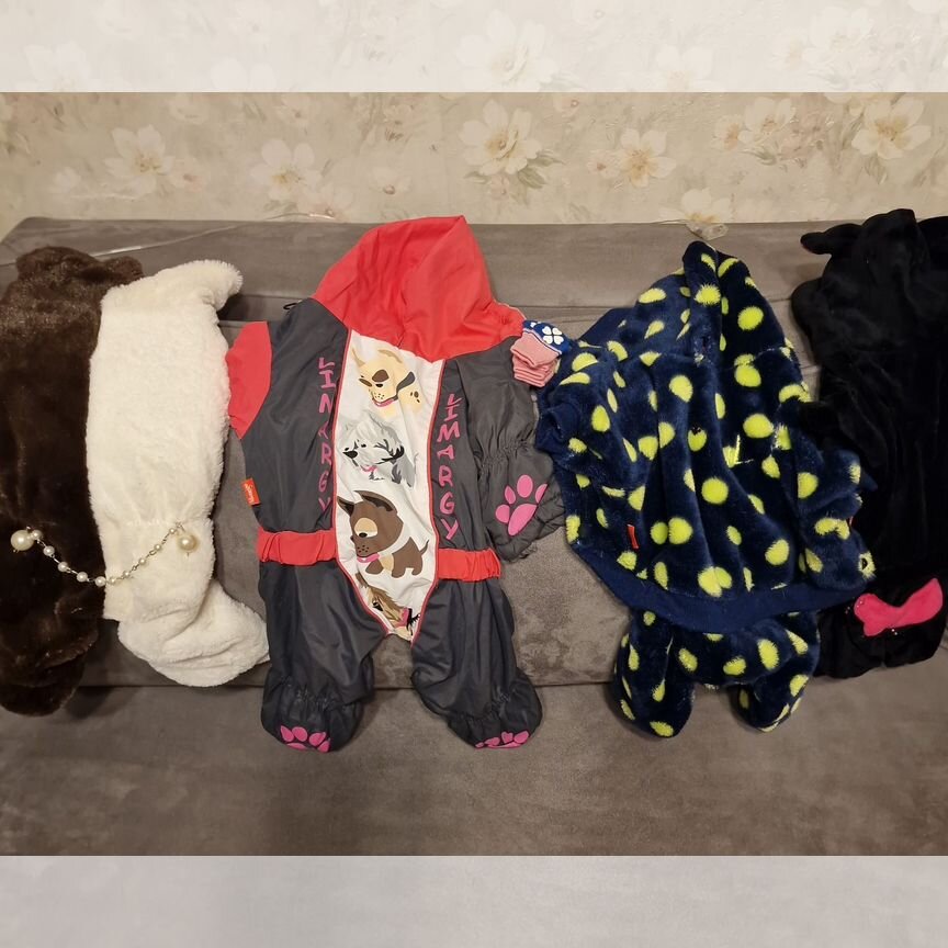 Одежда для собак мелких пород бу