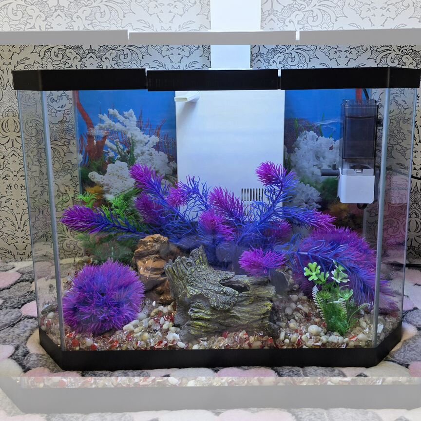 Аквариум для рыб