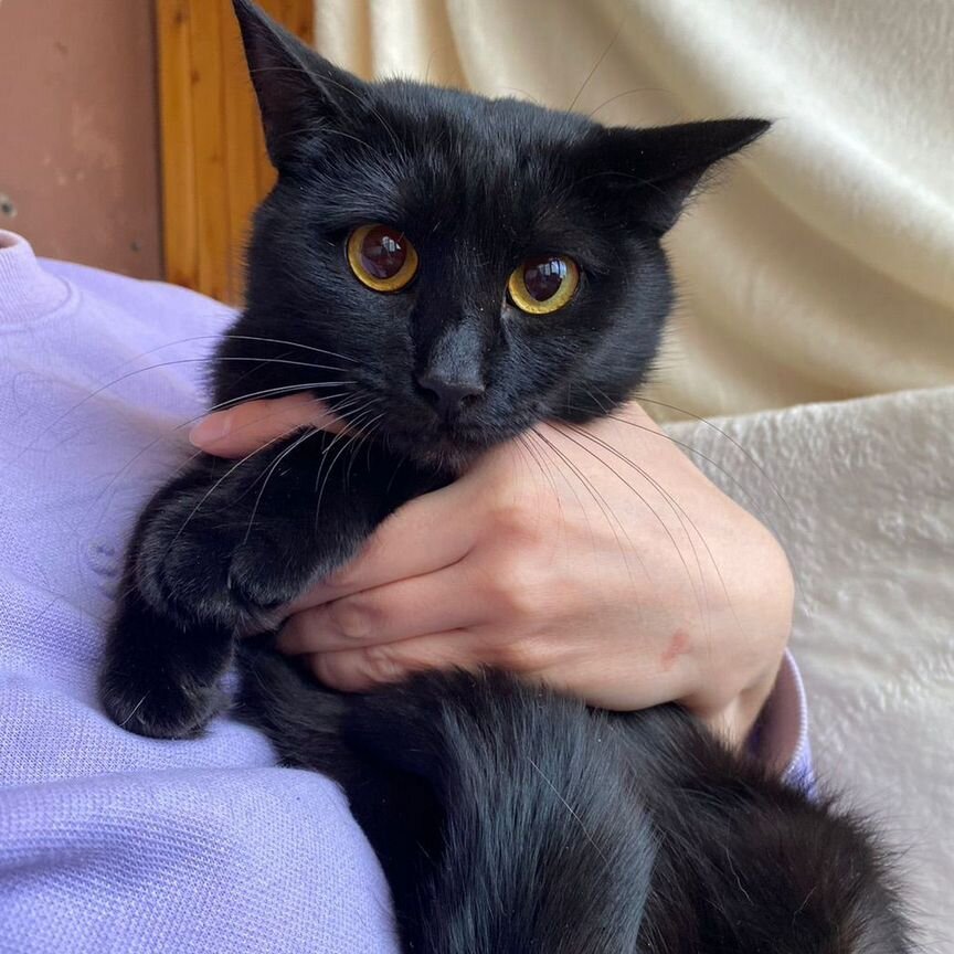 Чёрный бриллиант