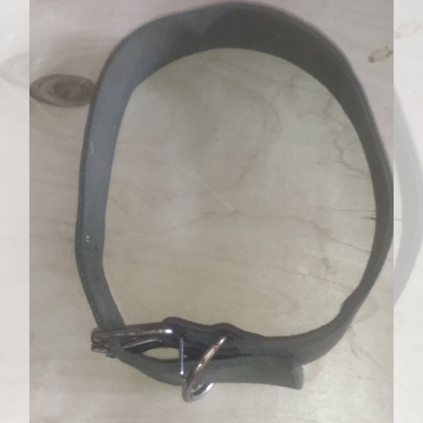 Ошейник для собак