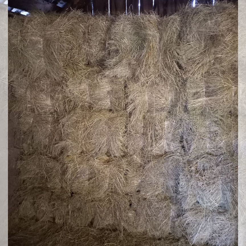 Продам сено в тюках