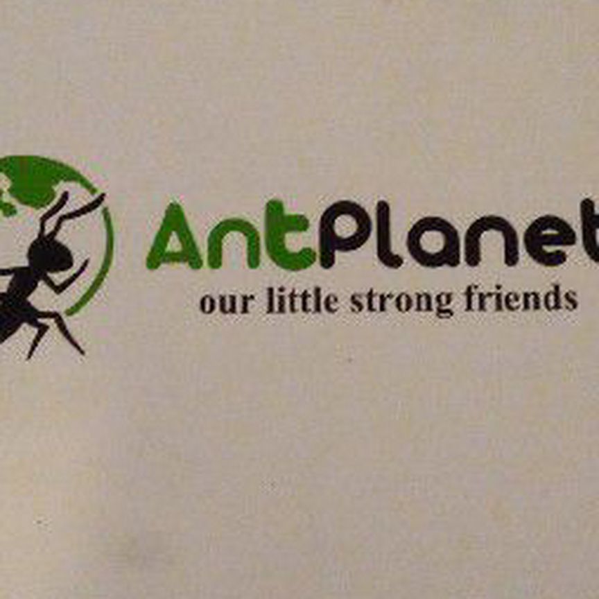 На доставке Муравьиная ферма без муравьев