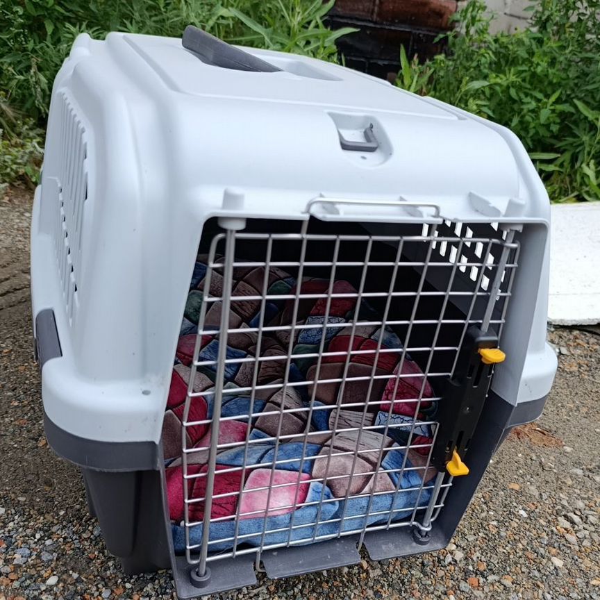 Переноска для средних собак