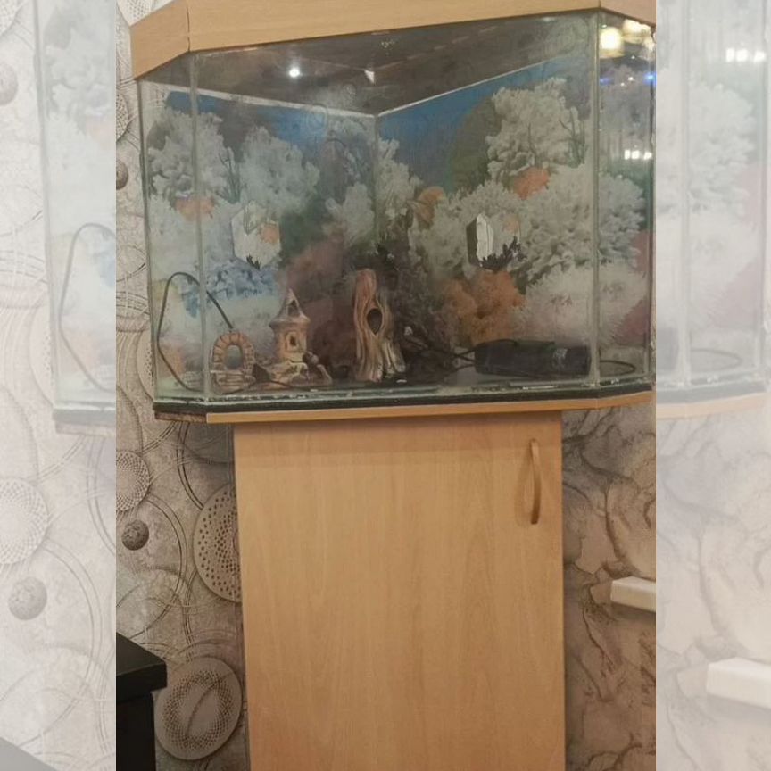 Аквариум