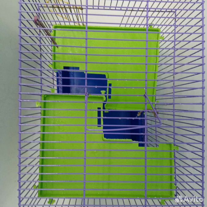 Крысята с клеткой