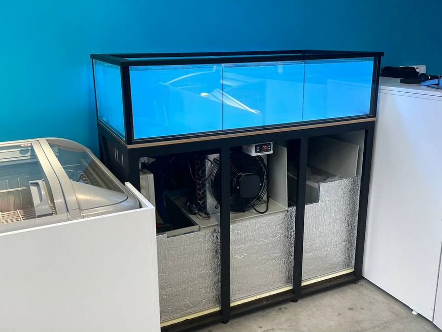 Аквариум для морских ежей