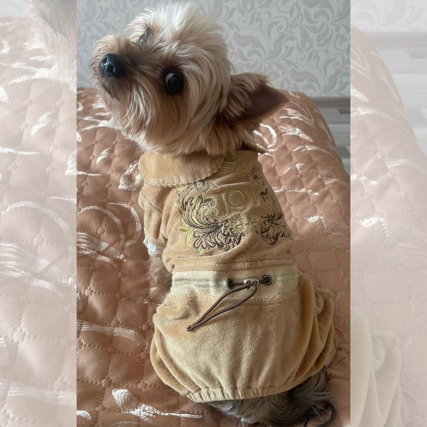 Костюм для собачки