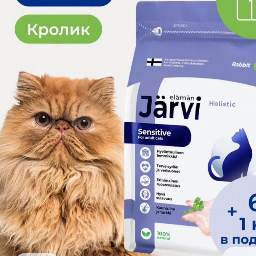 Корм для кошек