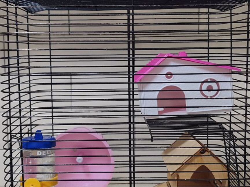 Клетка с хомяком,сеном, опилками