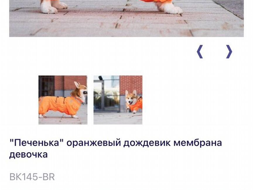 Комбинезон corgik.ru