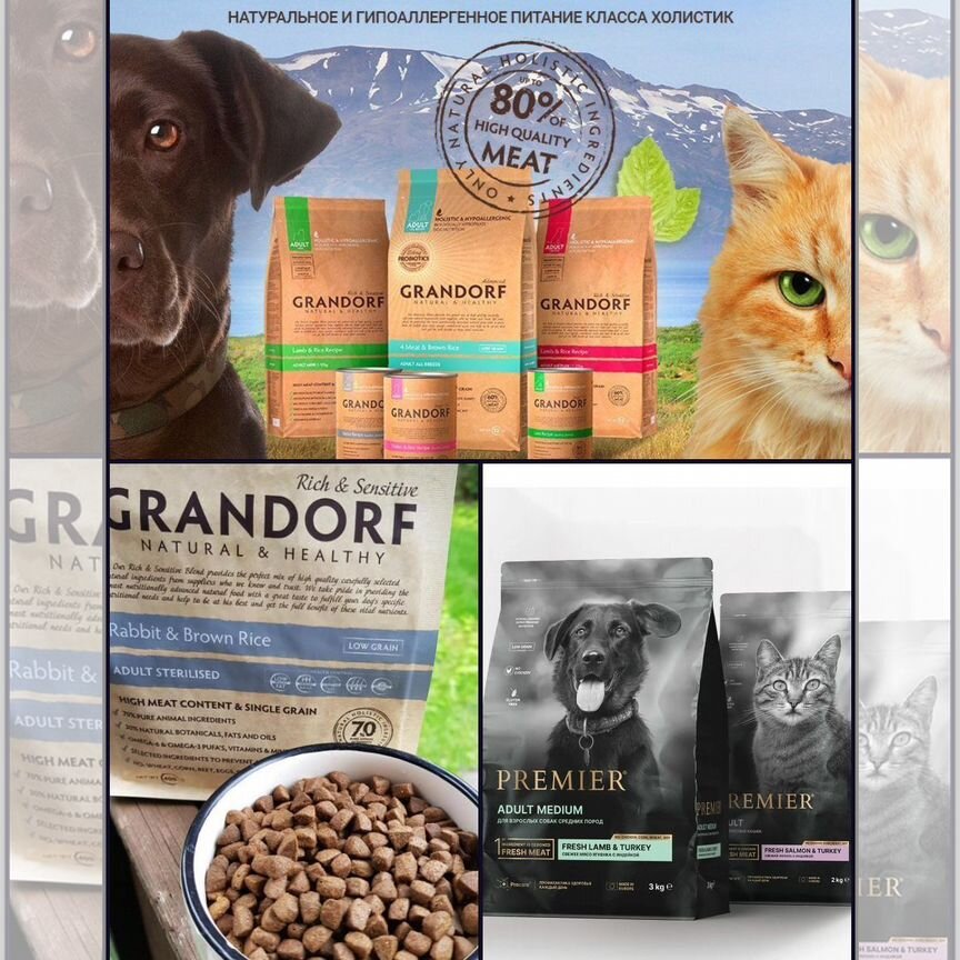 Корм для собак