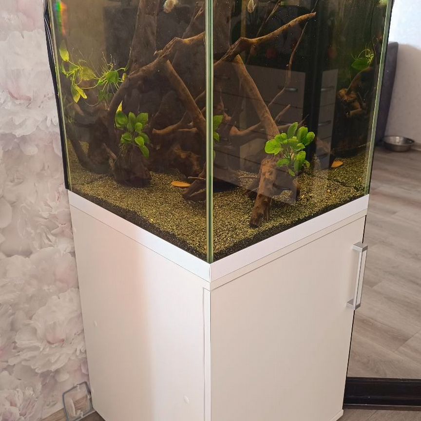 Аквариум куб 150л
