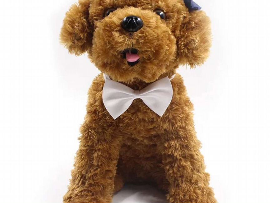 Галстук бабочка для собаки