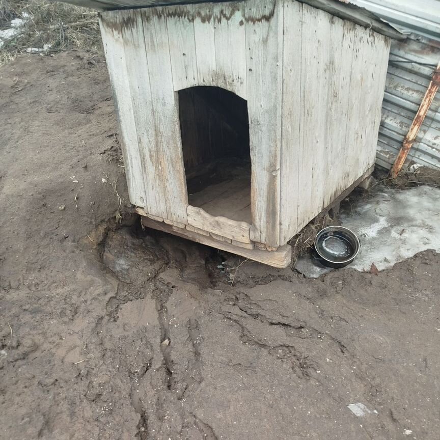Будка для большой собаки бу