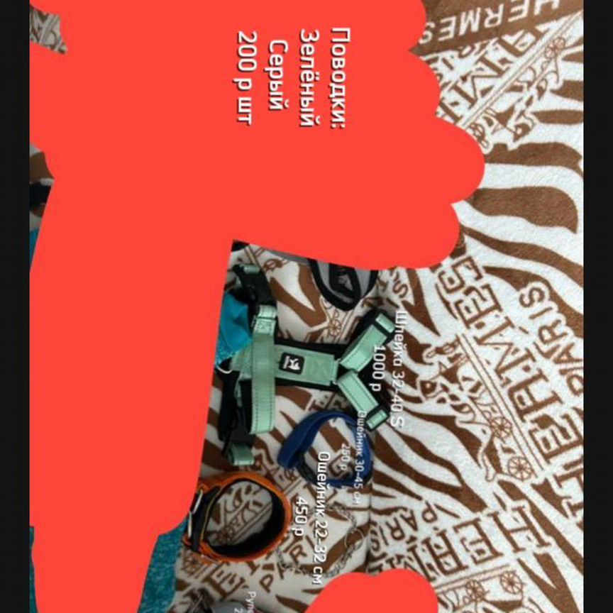 Амуниция для собак