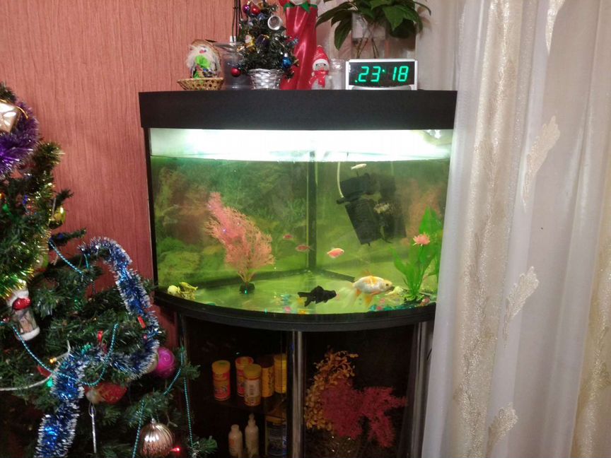 Аквариум