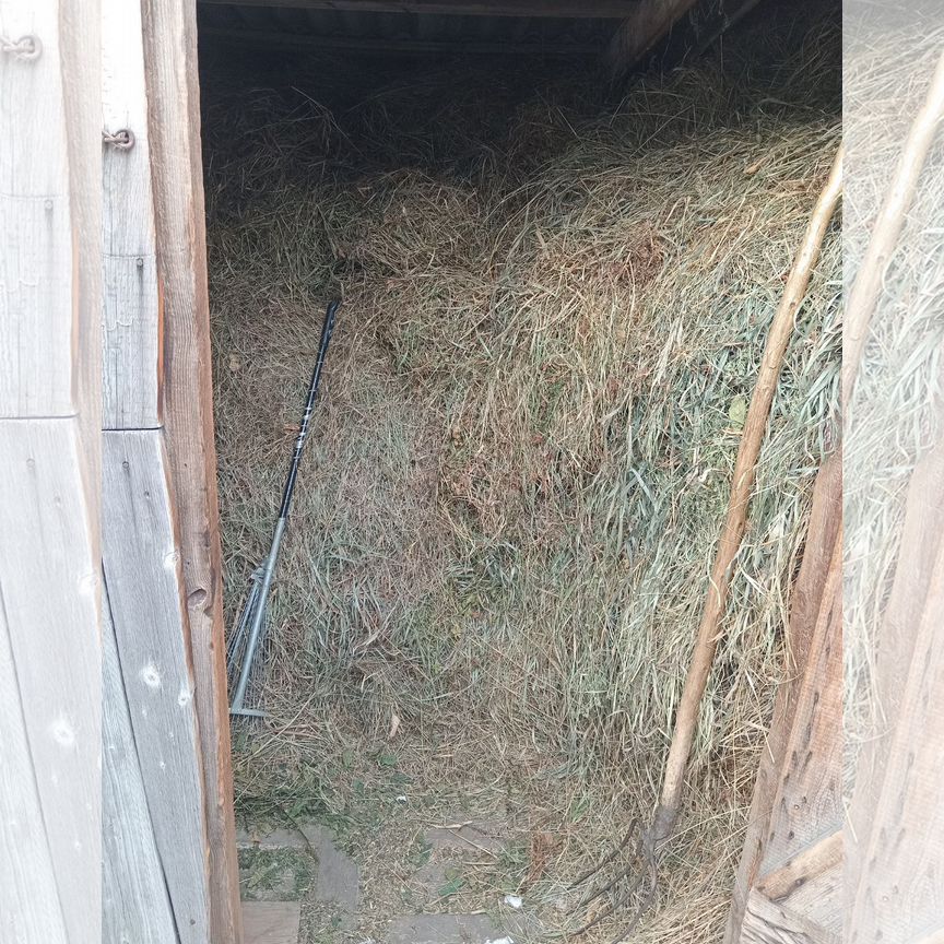 Продам сено