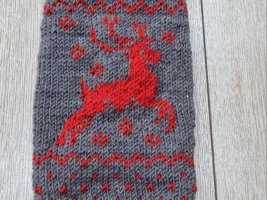 Одежда для собаки