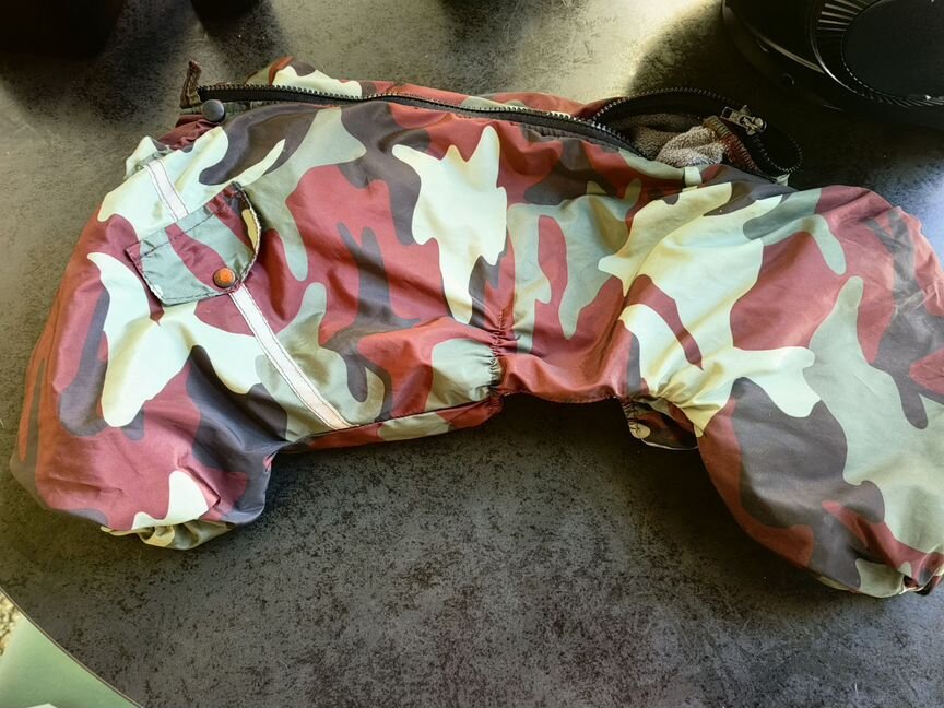 Утеплённый комбинезон для бульдога