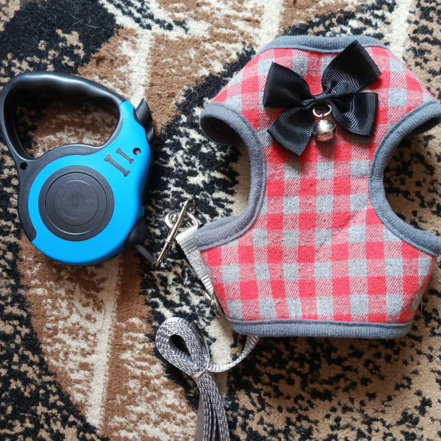 Шлейка, костюм, поводок