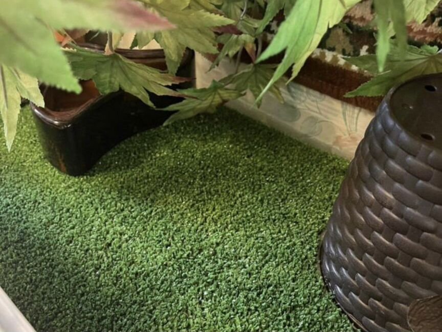 Коврик для террариума