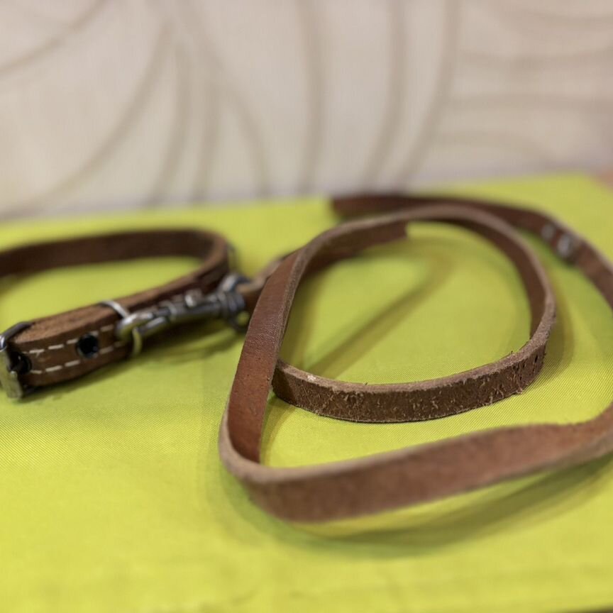 Ошейник с поводком