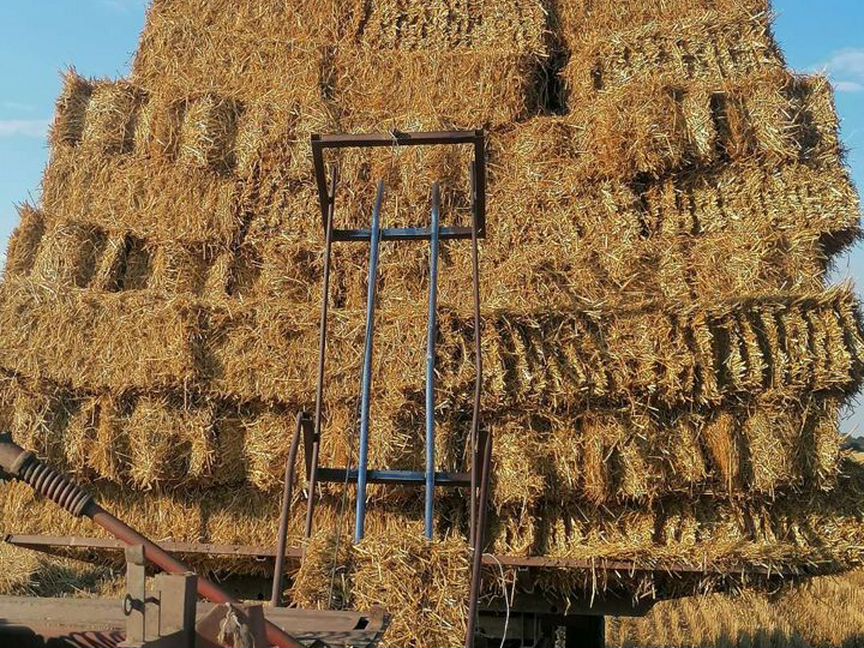 Солома 2023года