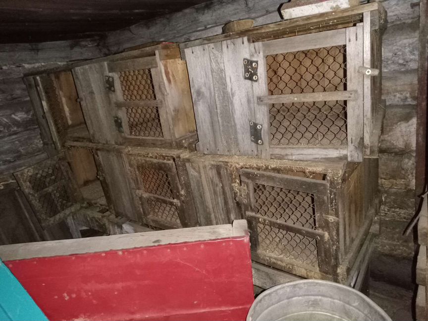 Клетка для домашнего кролика