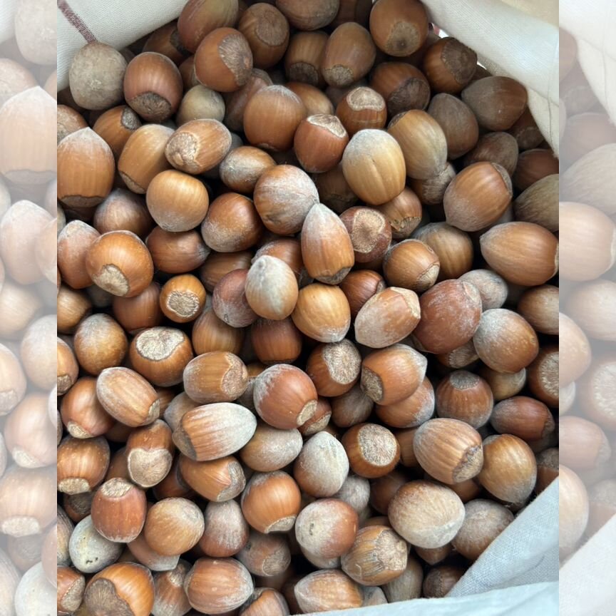 Угощение для белок