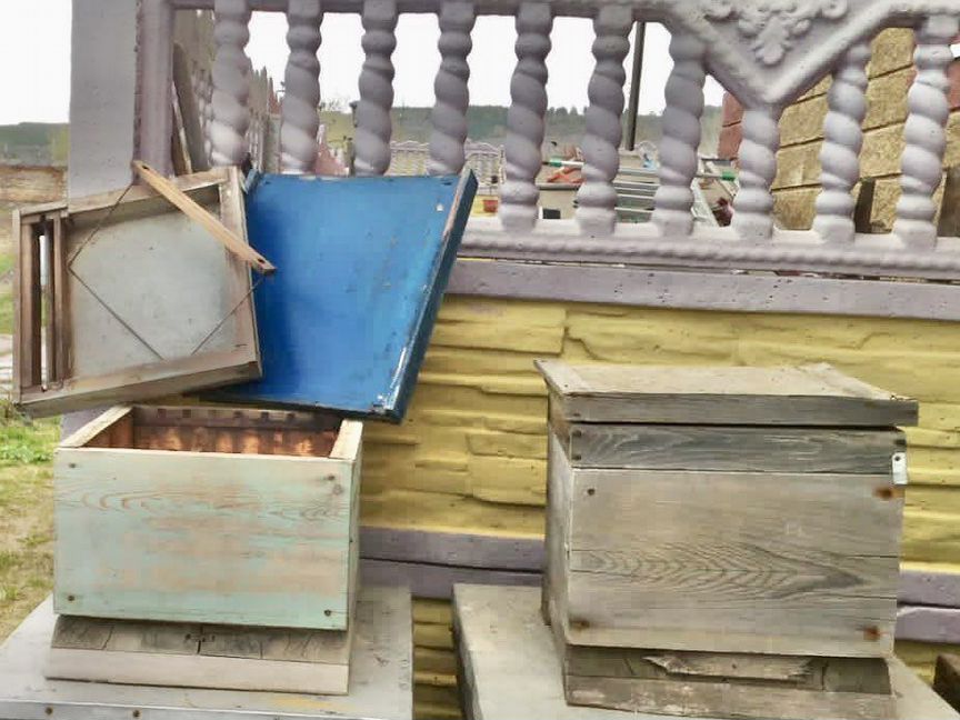 Ульи для пчел бу