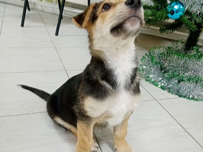 Классный мальчишка, 3 мес