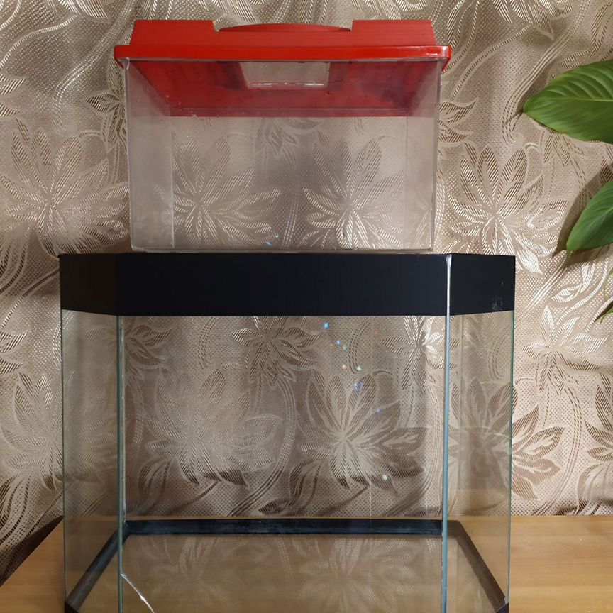 Аквариум для черепах